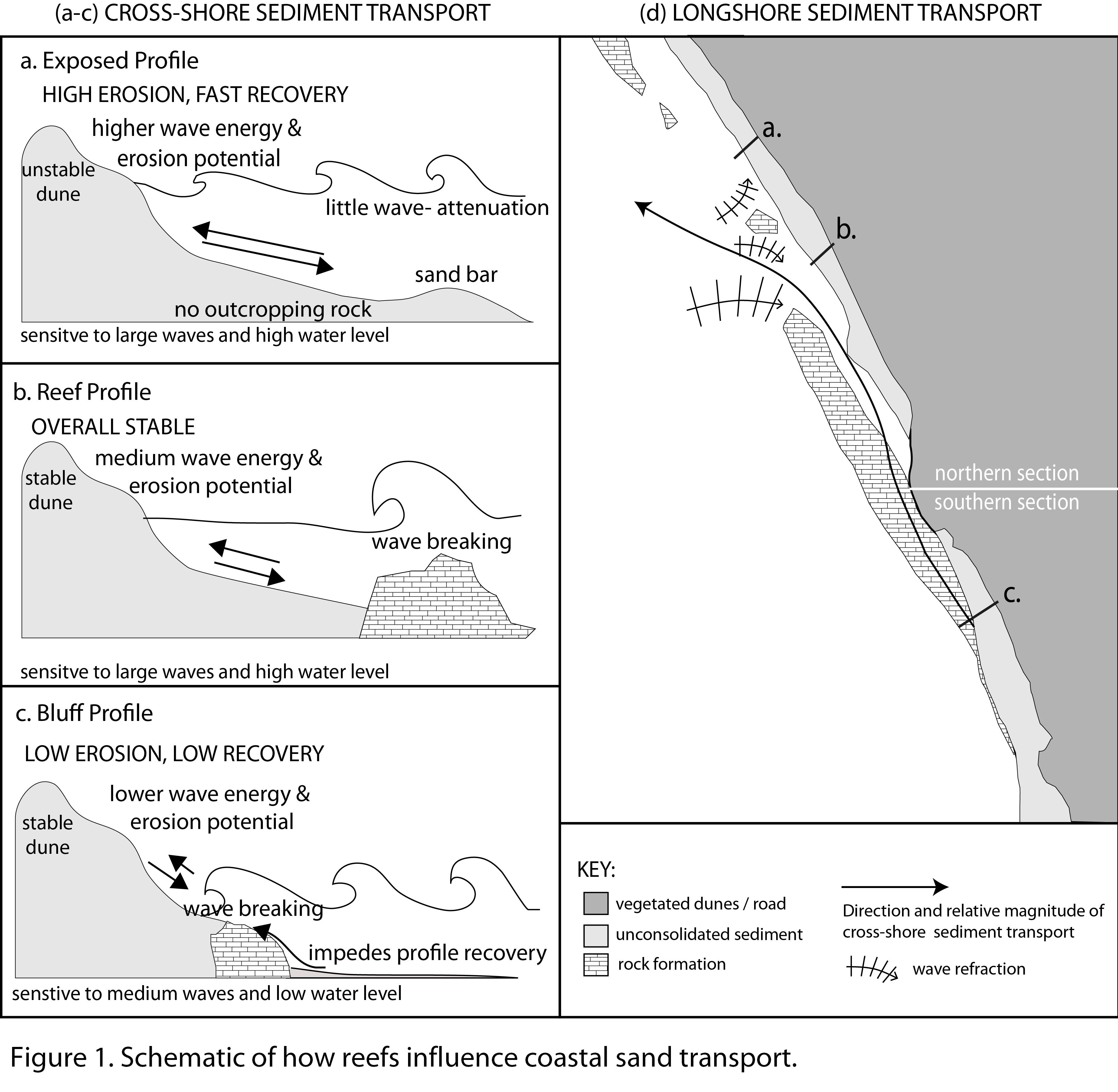 Influence of reefs on coastal oceanography erosion recover | Ocean and ...