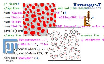 Introduction to 2D Image Processing and Analysis Course | Biomedical ...