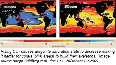 Past and Present Ocean Acidification | Ocean and Earth Science ...