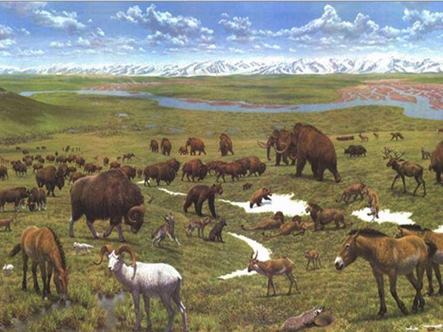 Ice-Age Ecosystems and the Story of the Megafauna | Geography and ...