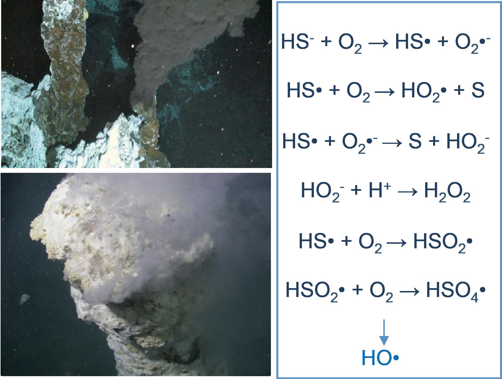 Molecular responses to metal stress at hydrothermal vents | Ocean and ...