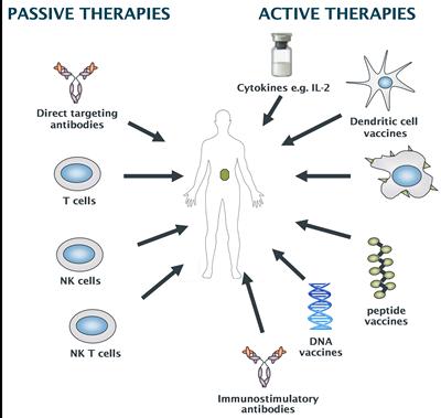 Vaccines and Immunotherapy | Medicine | University of Southampton