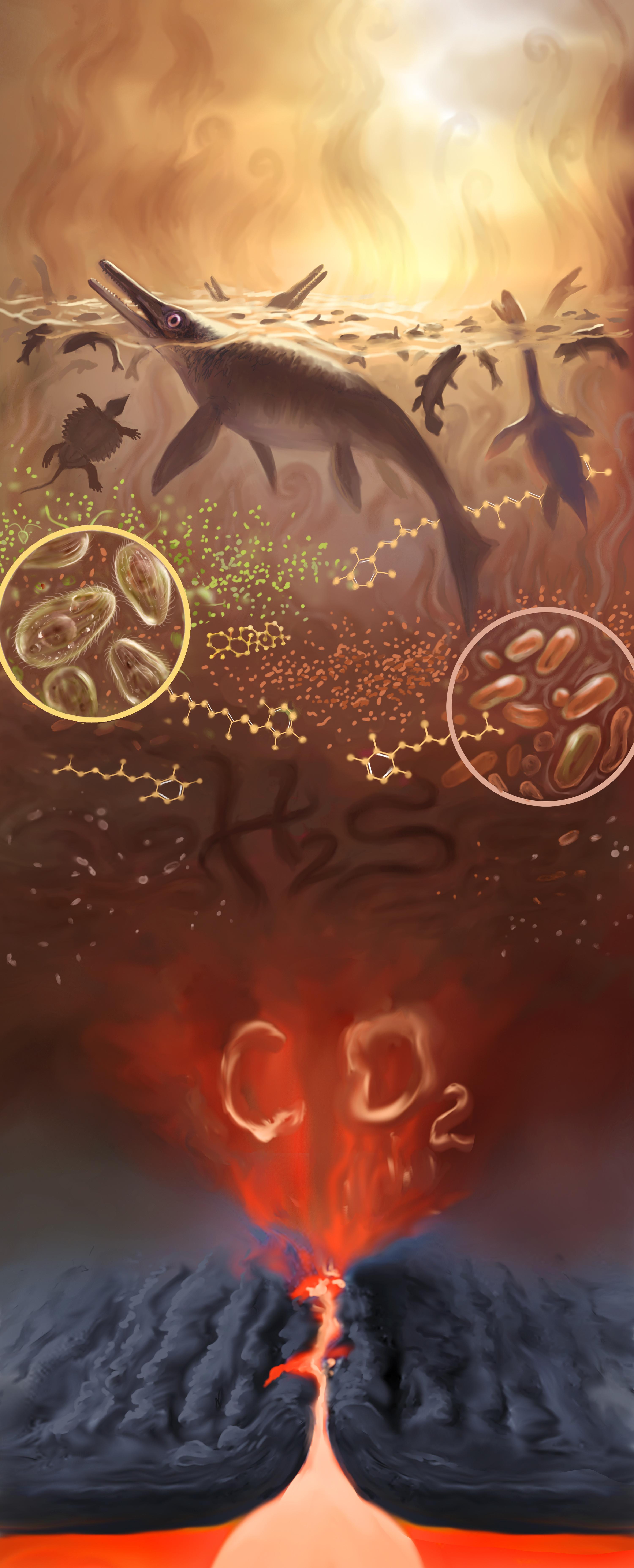 Oxygen-depleted toxic oceans had key role in mass extinction over 200 ...