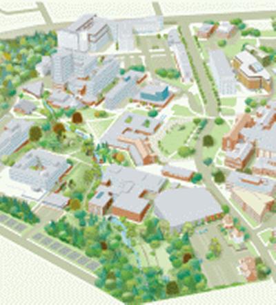 Contact us | The Care Life Cycle | University of Southampton