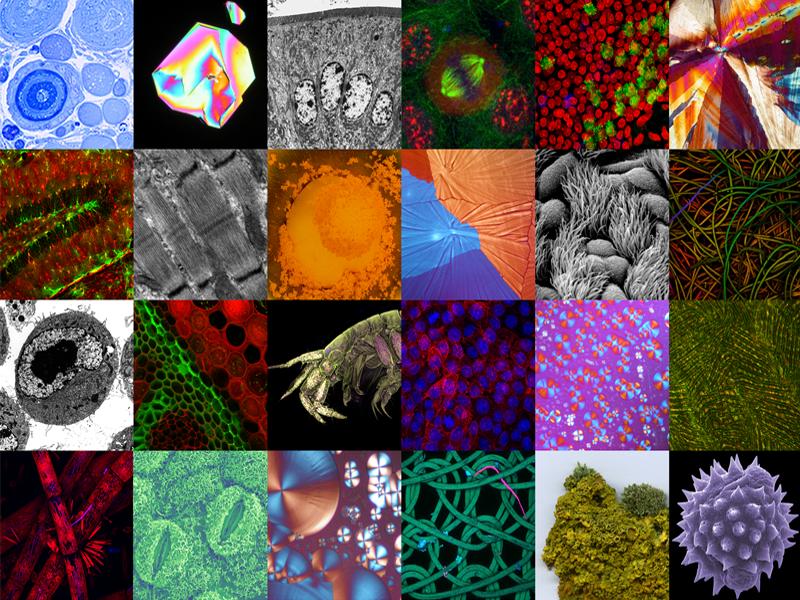 Biomedical Imaging Unit | University of Southampton