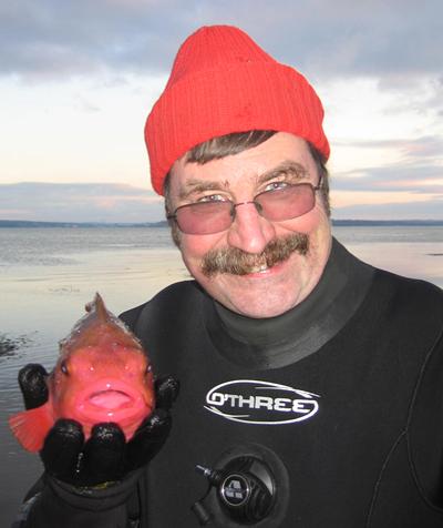 Dr Ken Collins | Chemistry | University of Southampton