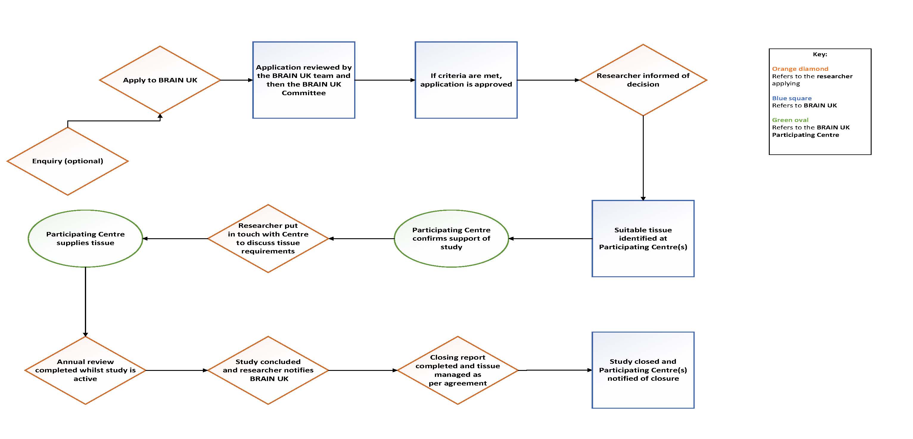 exampleprocess | BRAIN UK | University of Southampton