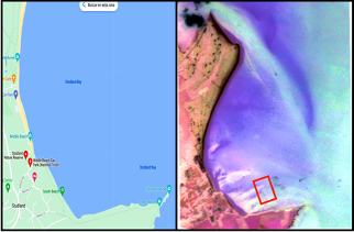 11-ocean-sensing-anthropological-reflections-on-a-field-trip ...