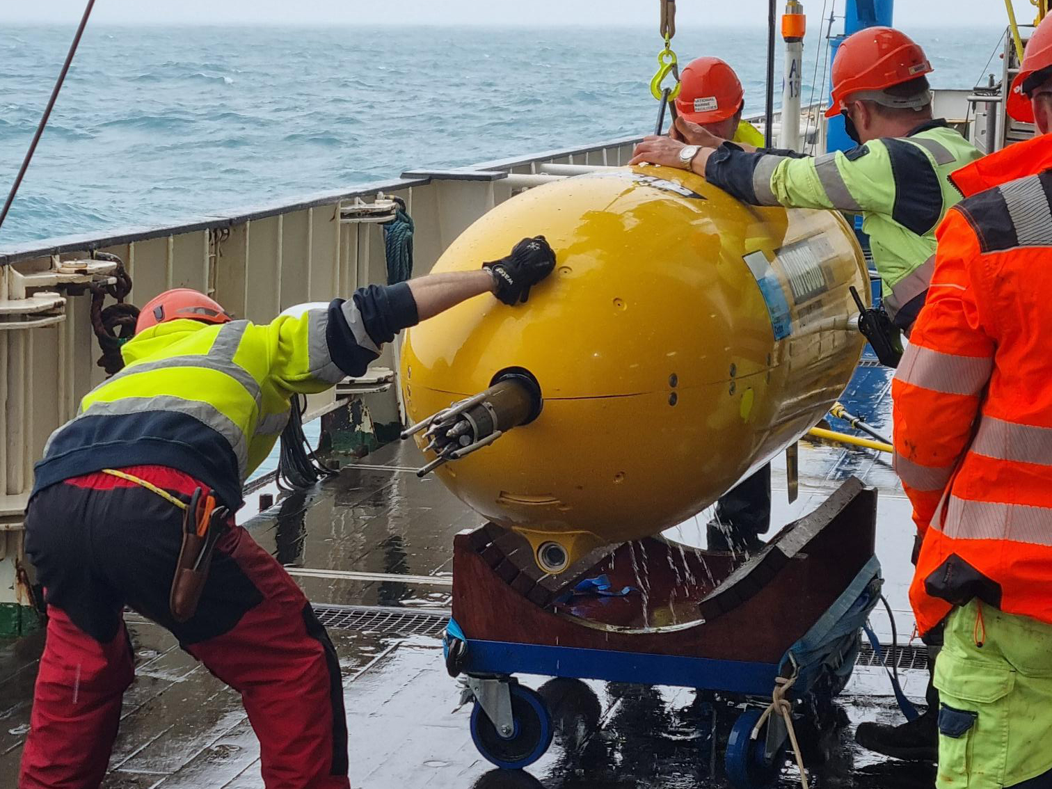 Ambitious study exploring how marine life helps the ocean store carbon